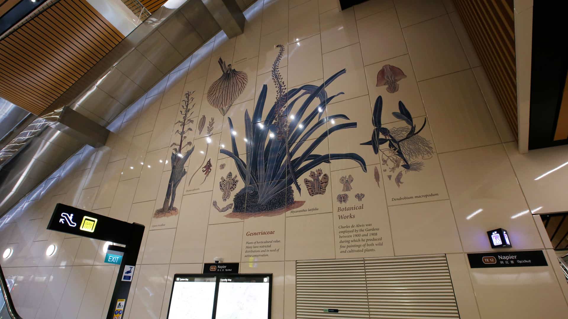 Thomson-East Coast Line's Beauty: TECO Enamel Panels Impact